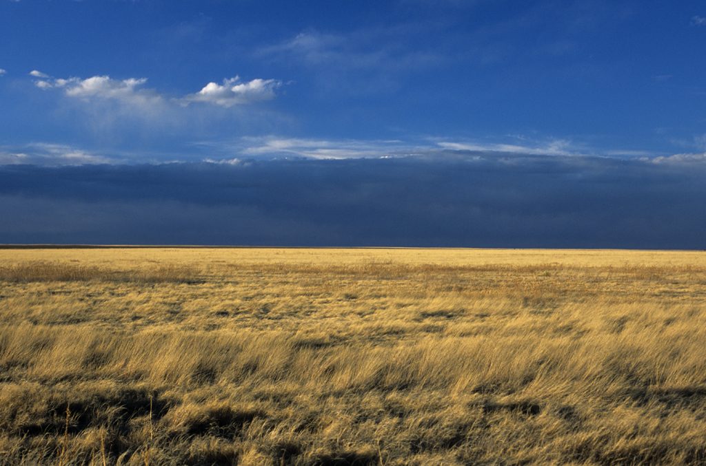 Colorado’s Ecosystems – Colorado Virtual Library
