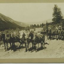 Free Access to Digitized Historic Newspapers: Colorado and Beyond ...